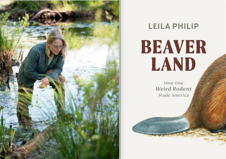 Leila Philip Archives - Coyote Network News